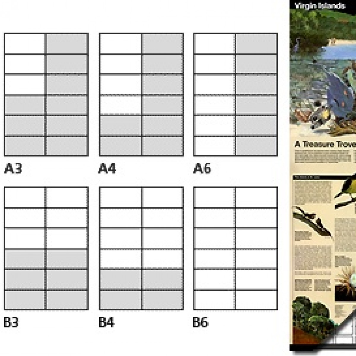 The story behind the glossy National Park Brochures - Tom Alphin